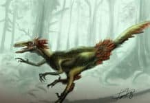 Tyrannotitan | Dinosaurs - Pictures and Facts