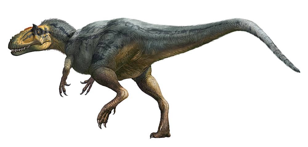 Yutyrannus - Facts and Pictures