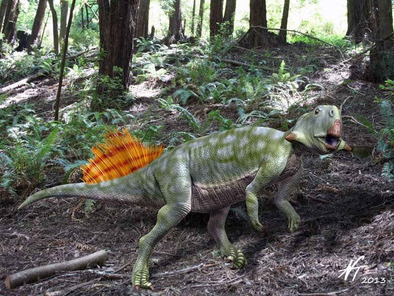 Psittacosaurus | Dinosaurs - Pictures and Facts