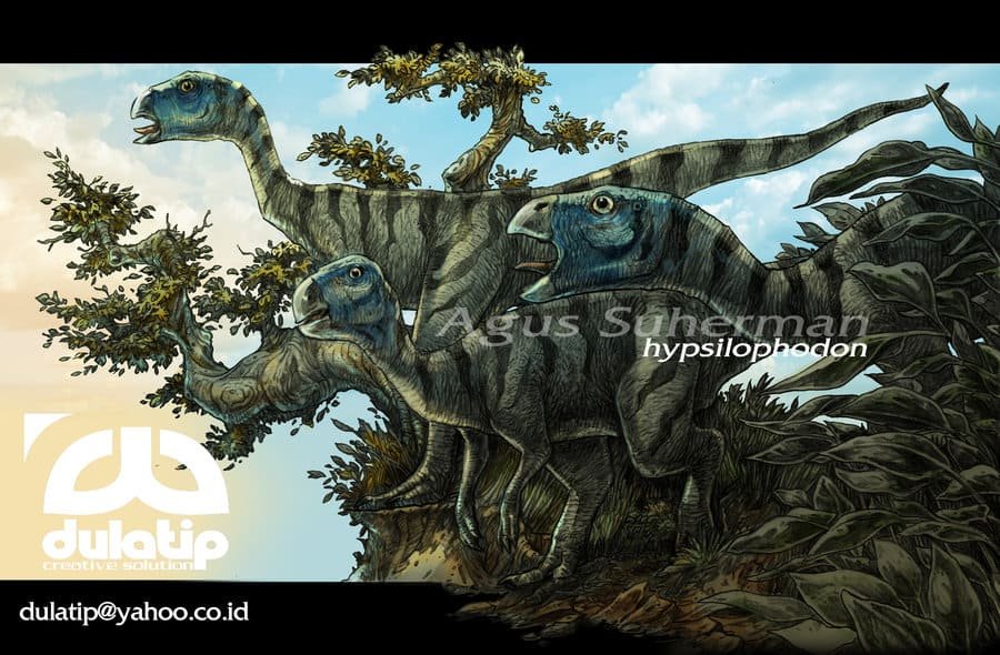 Hypsilophodon | Dinosaurs - Pictures and Facts