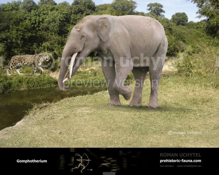 Gomphotherium | Dinosaurs - Pictures and Facts