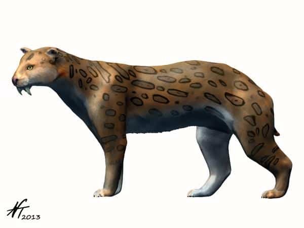 Megantereon • Dinosaurs - Pictures and Facts