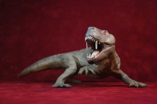 Gorgonops | Dinosaurs - Pictures and Facts
