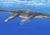 Mosasaurus - Facts and Pictures