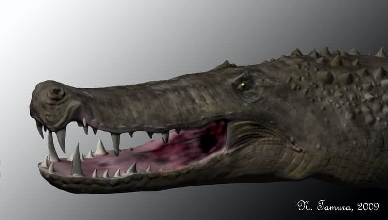 Kaprosuchus - Facts and Pictures