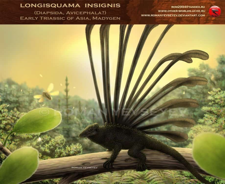 Longisquama | Dinosaurs - Pictures and Facts