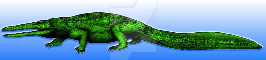 Prionosuchus | Dinosaurs - Pictures and Facts