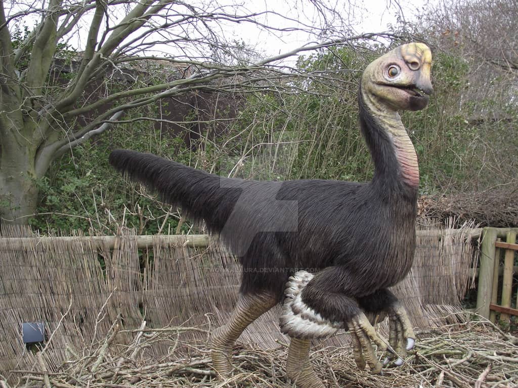 Citipati - Facts and Pictures